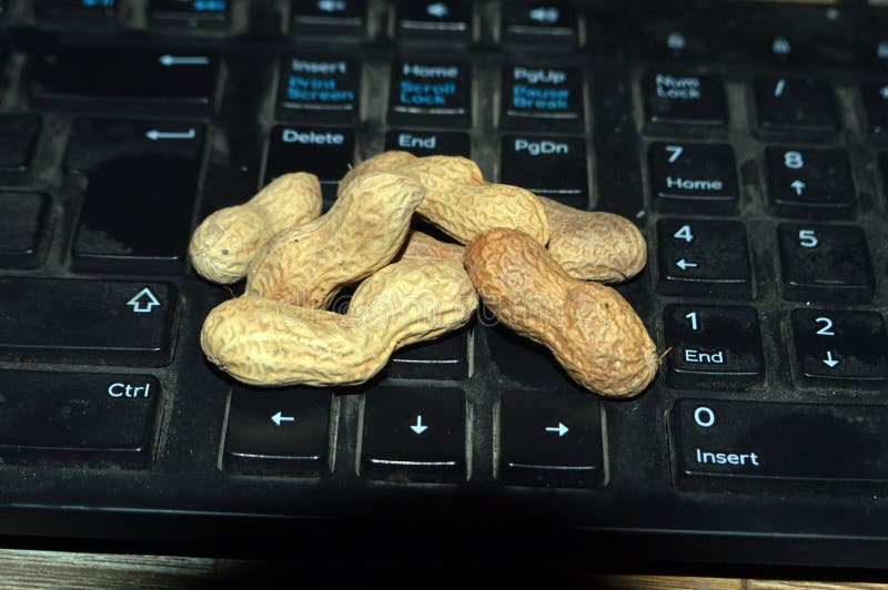 Aqeel Ahmed Zia Stock Photos - Free & Royalty-Free Stock Photos from ...