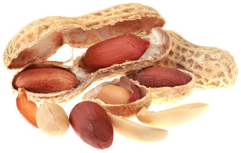 Peanuts Cutout stock image. Image of group, earthnuts - 29349753