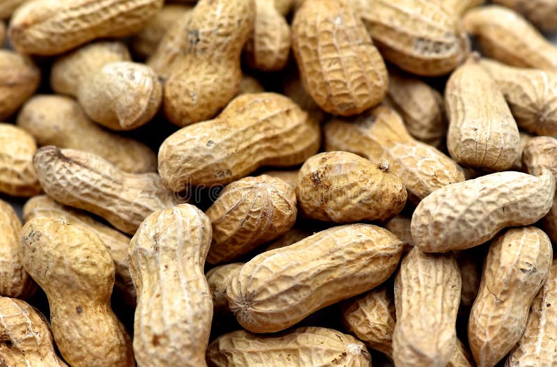 Peanuts stock image. Image of snack, organic, closeup - 85881413