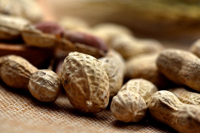 Peanuts stock photo. Image of natural, group, peanut - 85881662