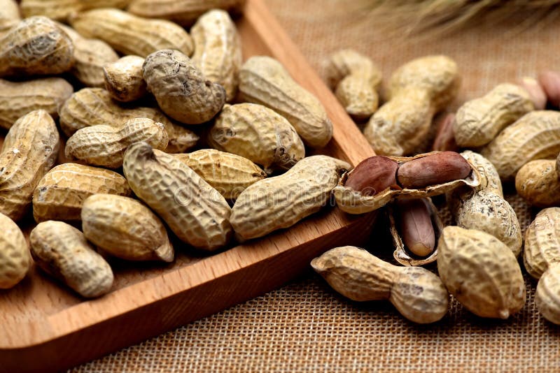 Peanuts Isolated stock photo. Image of delicious, nutrient - 85881476