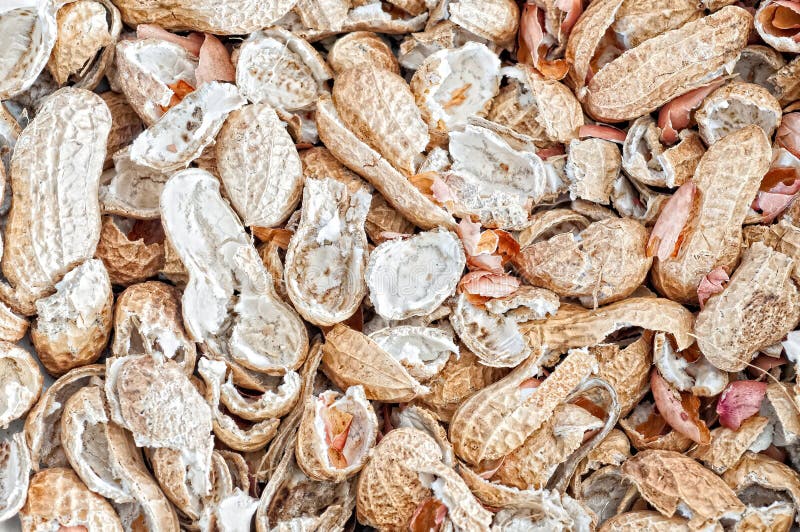 Peanuts stock image. Image of diet, peanut, ingredient - 31013757