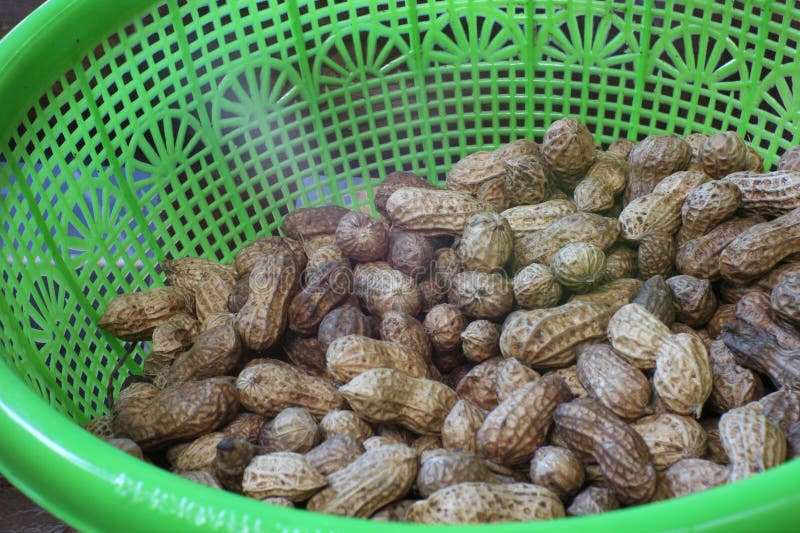 Peanuts. stock photo. Image of background, fragile, crop - 277863336