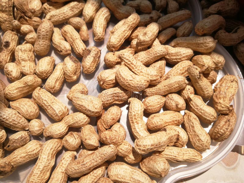 Peanuts stock image. Image of groundnut, peanut, agriculture - 123498481
