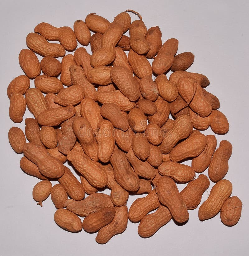 Peanuts or Groundnut stock image. Image of surface, moongfali - 204881709