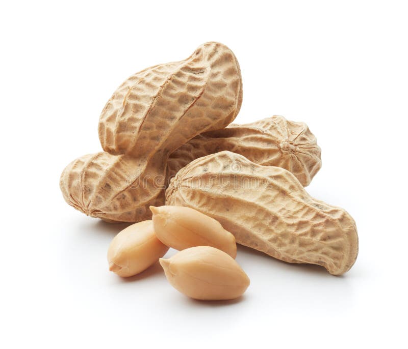 Peanuts stock photo. Image of group, stack, isolated - 105918226