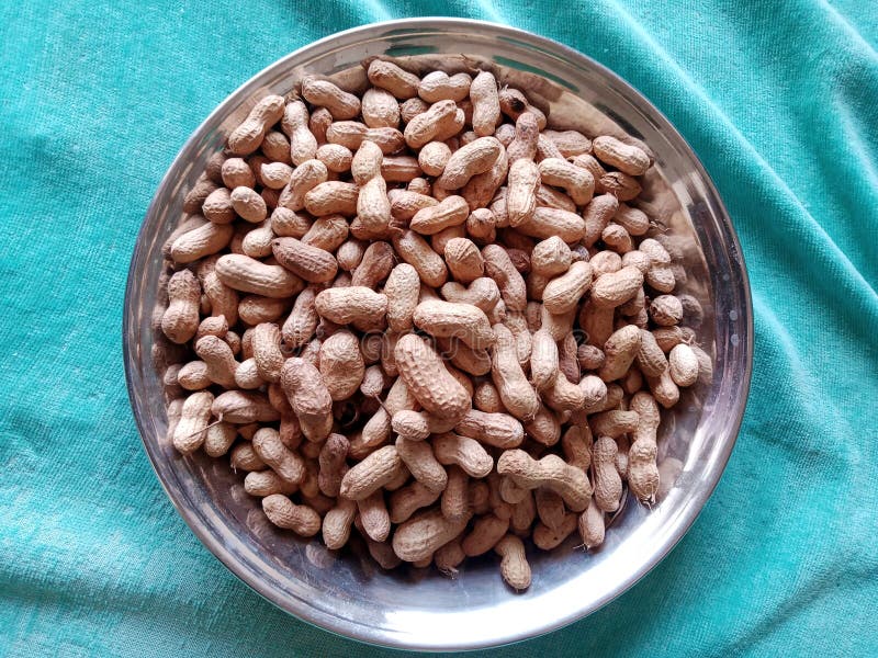 Peanuts Grown by Misrial Farmer Talagang Pakistan Stock Image - Image ...