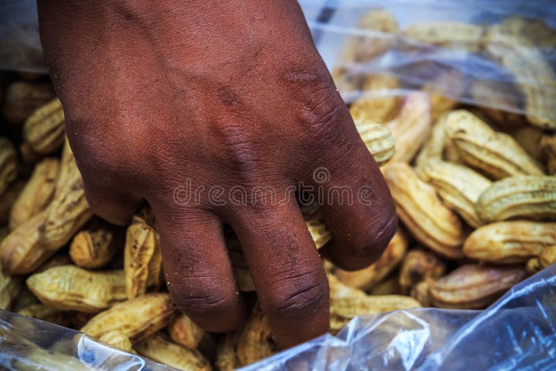 Peanuts in a hand stock photo. Image of hand, seed, snack - 33517332