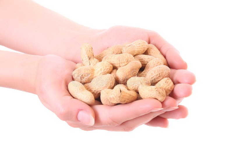 Peanuts in hand isolated stock image. Image of dried, protein - 9265217