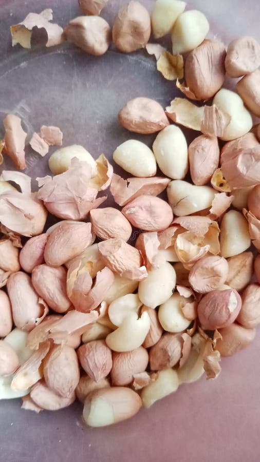 Peanuts that Have Been Peeled from Their Shells and are Ready To Be ...
