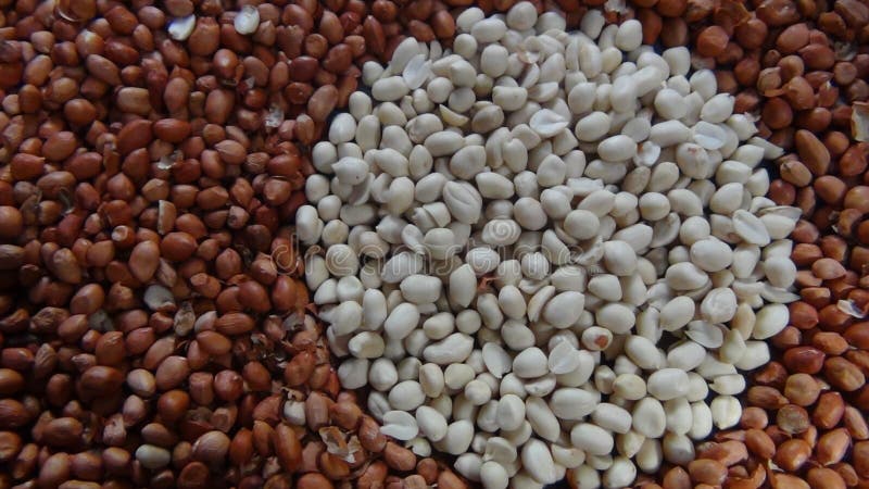 Peanut, brown and white stock photo. Image of peanuts - 198578746
