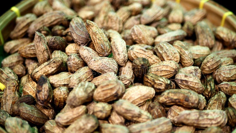Peanuts High Protein Nutritious Snack Food Stock Photo - Image of ...