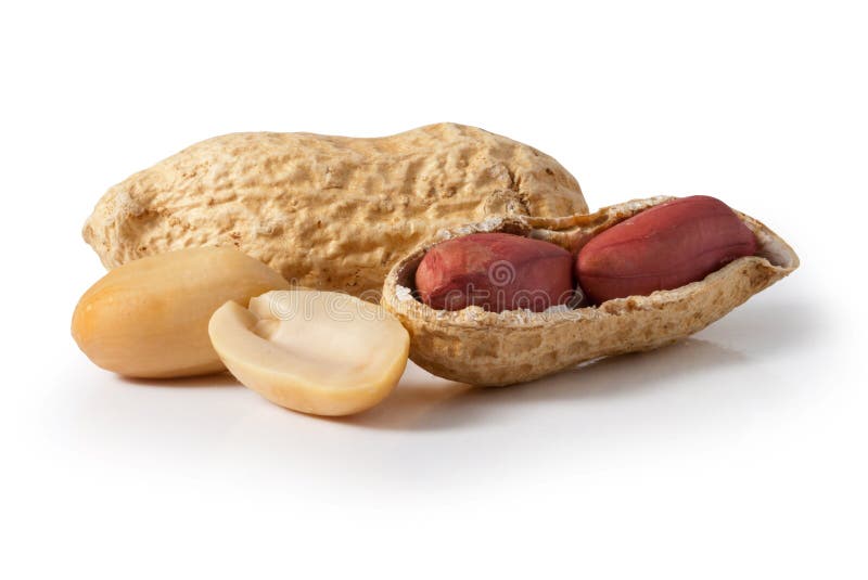Open Peanuts stock image. Image of food, fruit, organic - 17305893