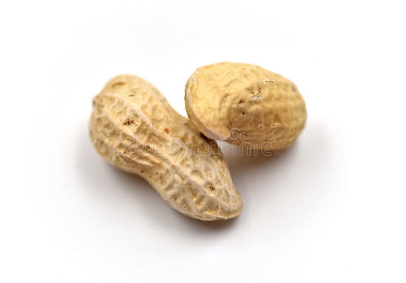 Peanuts Isolated stock image. Image of healthy, delicious - 85881451