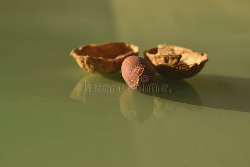 Peanuts Isolated on a Green Background, Macro Photography Stock Photo ...