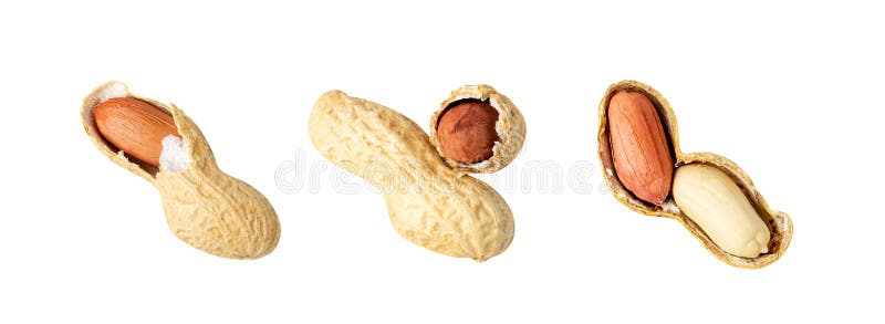 Peanuts Isolated, Roasted Arachis Nuts, Open Pea Nut, Whole Groundnut ...