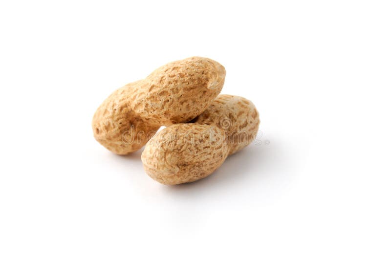 Peanuts isolated on white stock image. Image of group - 26098165