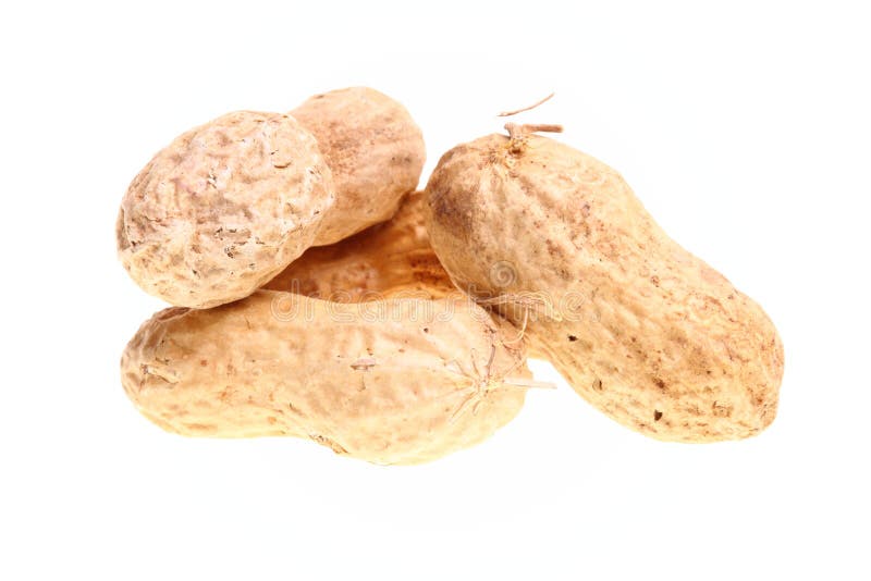 Peanuts isolated on white stock image. Image of group - 26098165