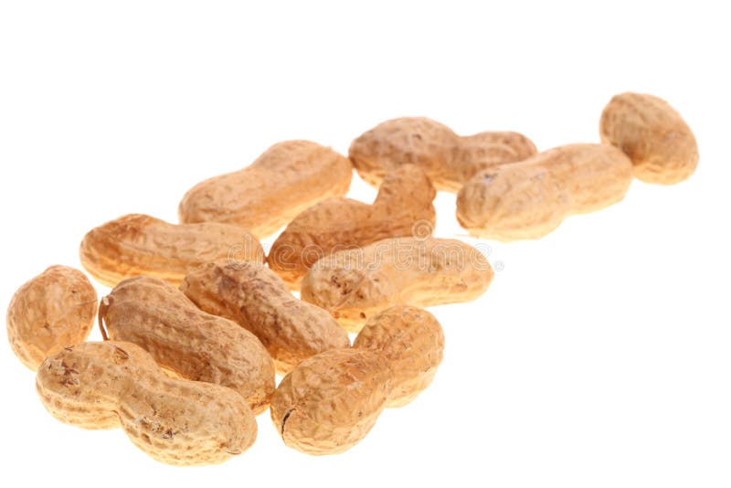Peanuts isolated on white stock image. Image of earthy - 21921303