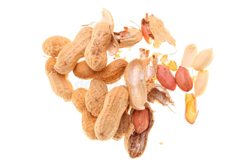 Peanuts isolated on white stock image. Image of group - 26098165