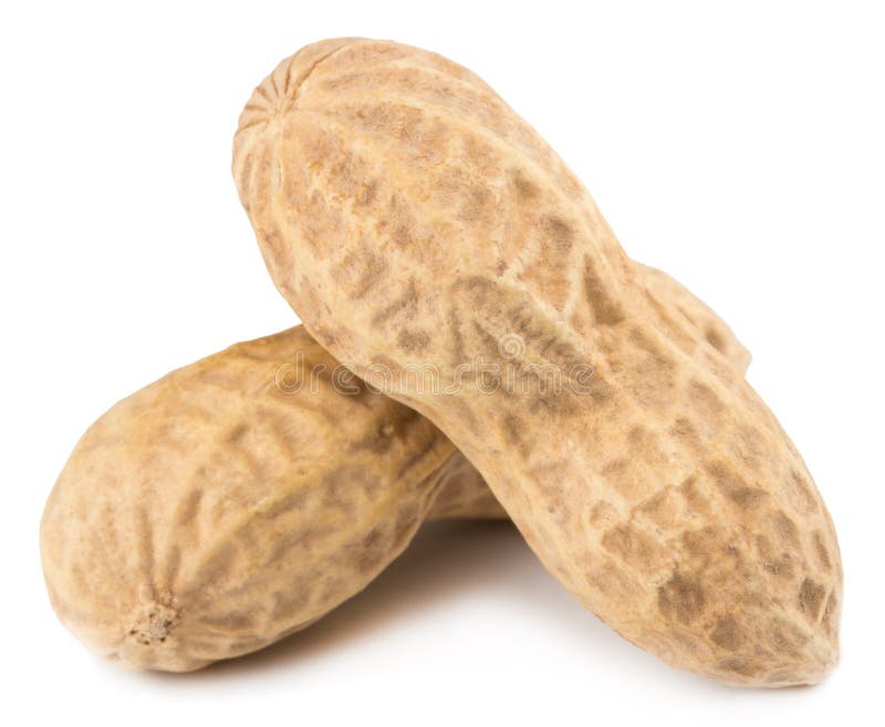 Peanuts Isolated on the White Background. Close Up Stock Image - Image ...