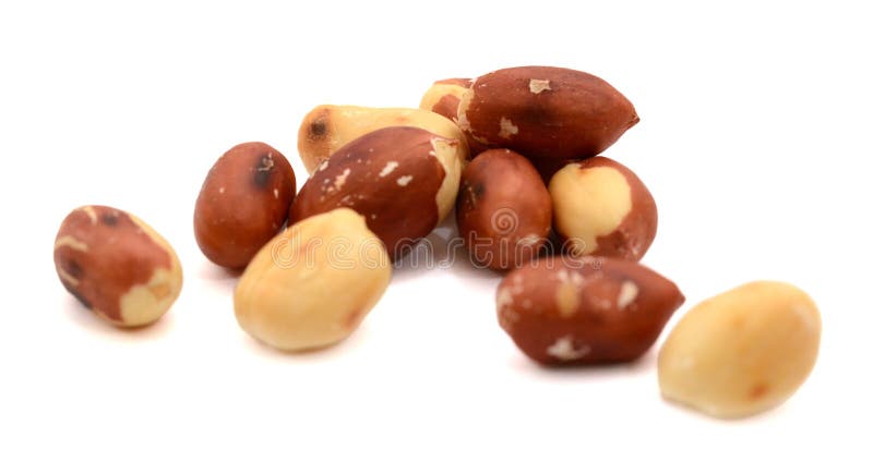 Peanut nuts. stock image. Image of photographs, isolated - 144876551