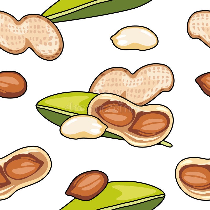 Peanuts Isolated on White Background. Seamless Pattern Stock Vector ...