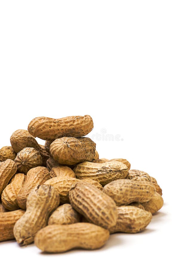 Peanuts Isolated on White stock photo. Image of closeup - 173117600