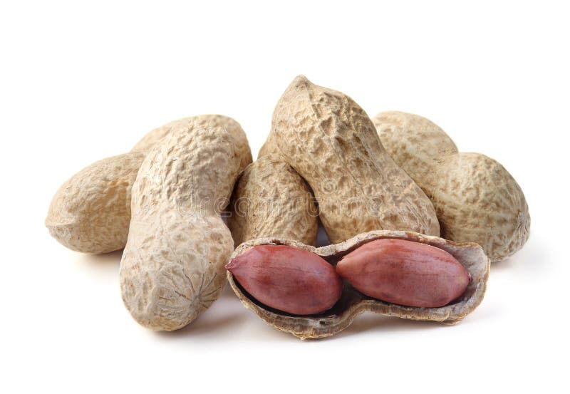 Peanuts isolated on white stock image. Image of peanuts - 137312471