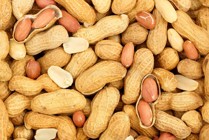 Peanuts stock image. Image of nutritious, closeup, shelled - 72333397