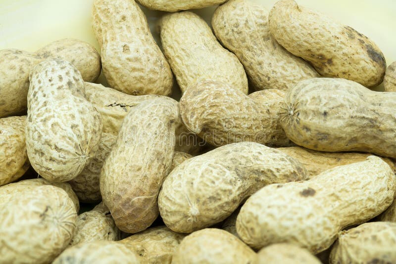Peanuts and Monkey Nuts Shells Stock Photo - Image of health, called ...