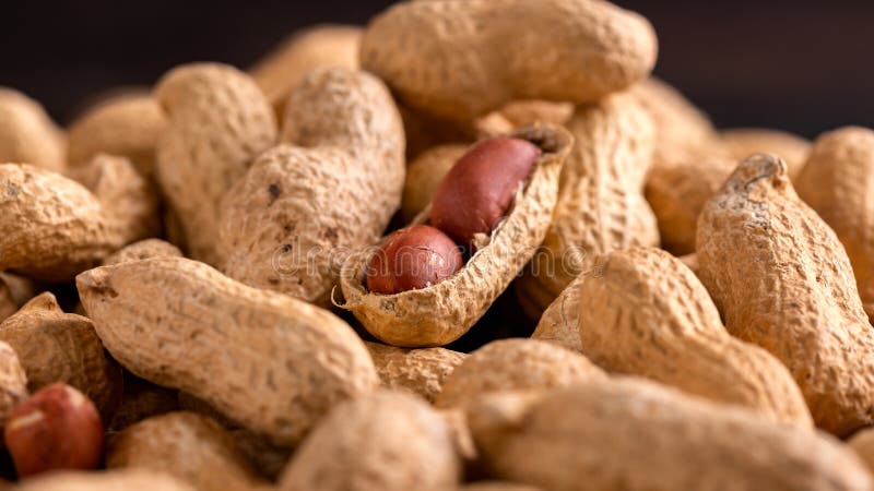 Peanuts or Monkey Nuts in a Shell Stock Image - Image of natural, tasty ...