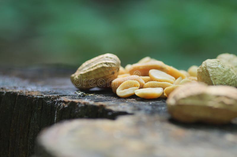 Peanuts in the nature stock image. Image of healthy - 128047625