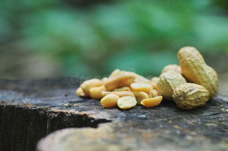 Peanuts in the nature stock photo. Image of macro, nutrient - 128047650