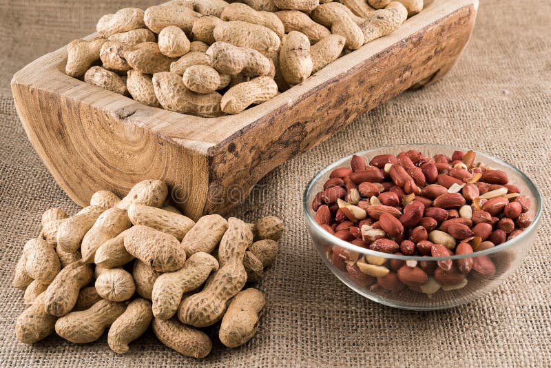 Peanuts stock photo. Image of peanuts, peanut, nutshell - 104249650
