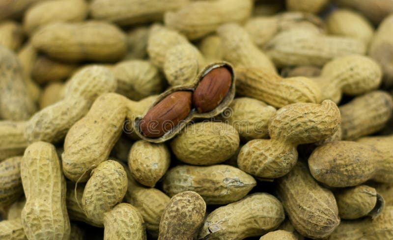 Peanuts stock image. Image of open, snack, ingredient - 37123613