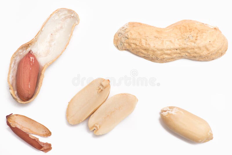Peanuts with Opened Shell Red Skin Halves Stock Photo - Image of ...