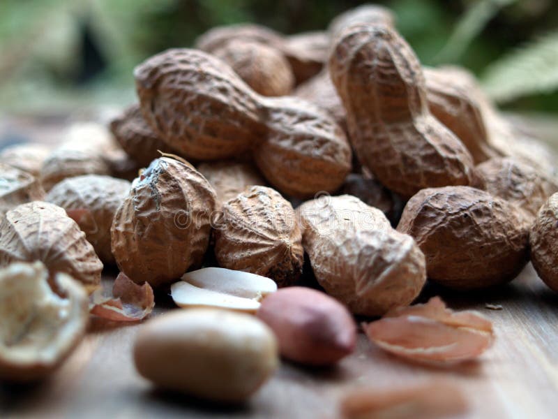 Peanuts stock photo. Image of arachis, peeled, cracked - 46267592