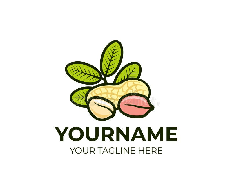 Peanuts Plant and Kernels of Nuts with Leaves, Logo Template. Dried ...