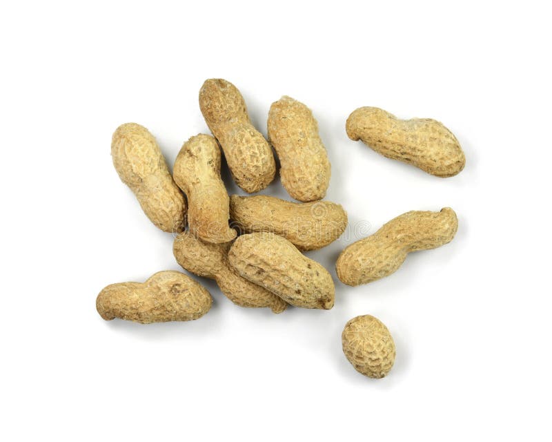 Peanuts Pod Isolated on the White Background. Stock Photo - Image of ...