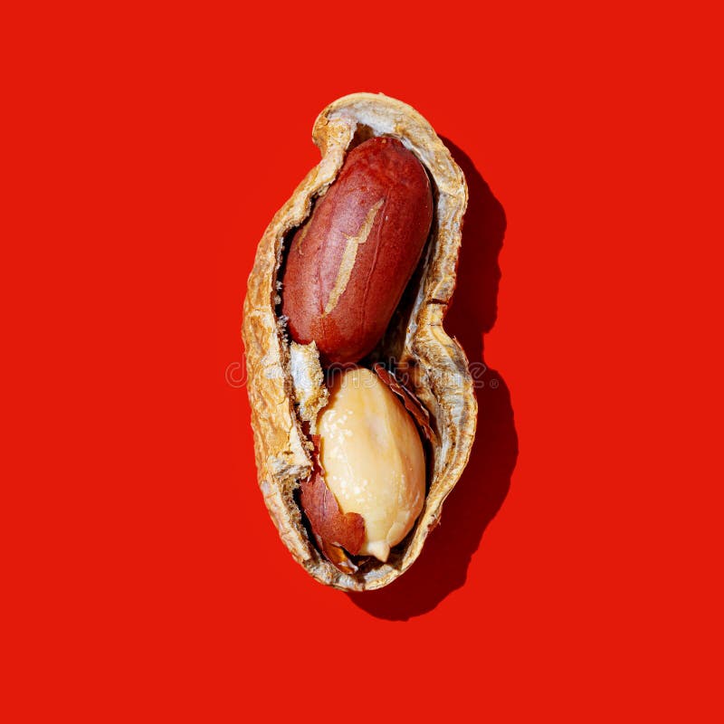 Peanuts on a Red Background Stock Photo - Image of halved, background ...
