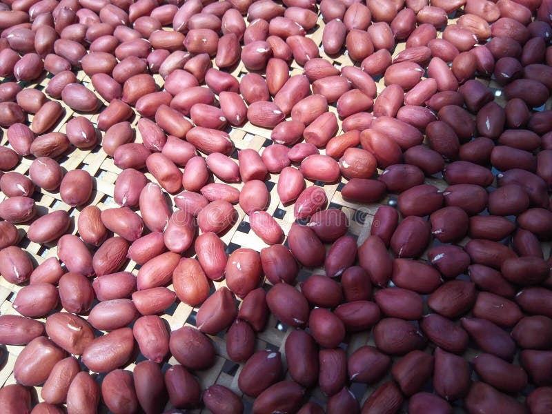 Red peanuts stock image. Image of kernels, area, residential - 118734689