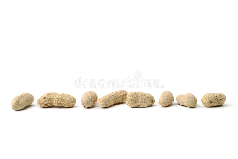 Peanut Border stock image. Image of peanuts, roasted, nutritious - 8668735