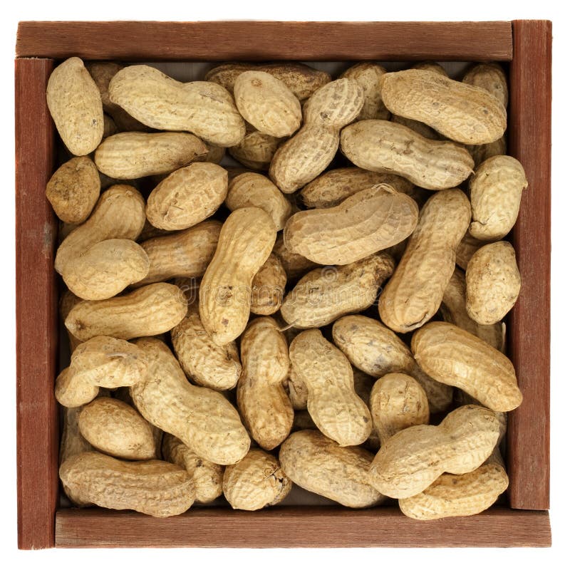 Peanuts in a Rustic, Wooden Box Stock Photo - Image of ingredient ...