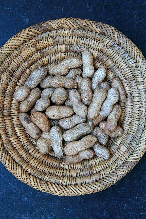 Peanuts stock photo. Image of isolated, butter, wood - 66527734