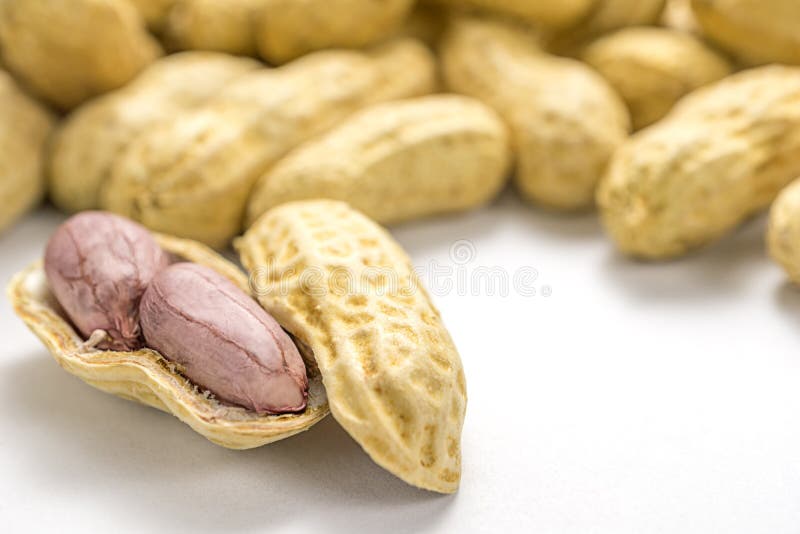 Peanuts seed in shell stock photo. Image of peanuts, close - 98609764
