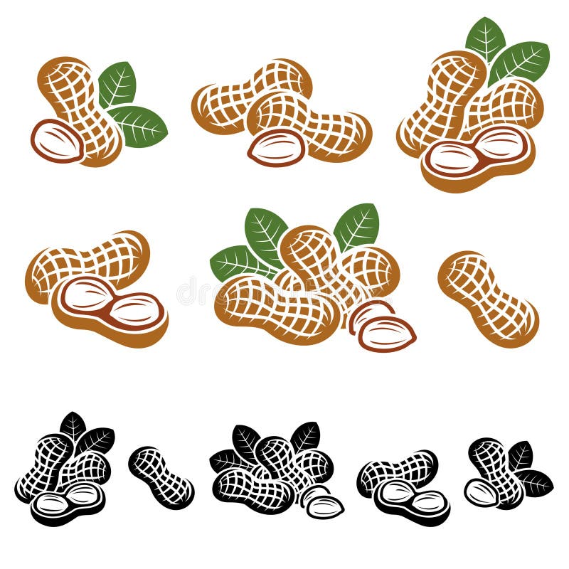 Peanuts Set. Collection Icon Peanuts Stock Vector - Illustration of ...
