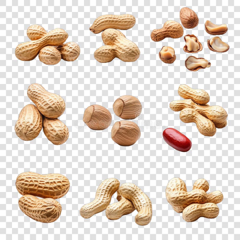 Peanuts set stock image. Illustration of eating, macro - 341485867