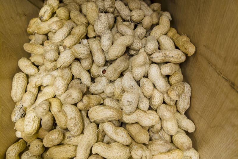 Peanuts in Shell Close-up in a Box in a Supermarket Stock Photo - Image ...