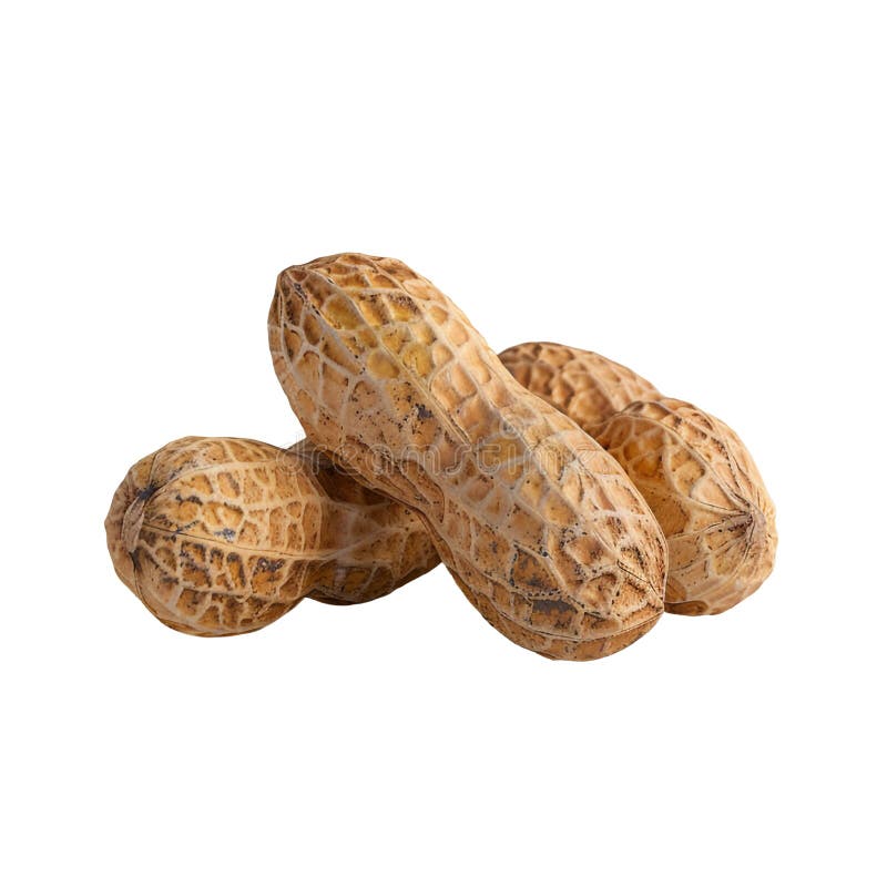 Peanuts in Shell a Close Up View of Three Peanuts in Their Shells Stock ...